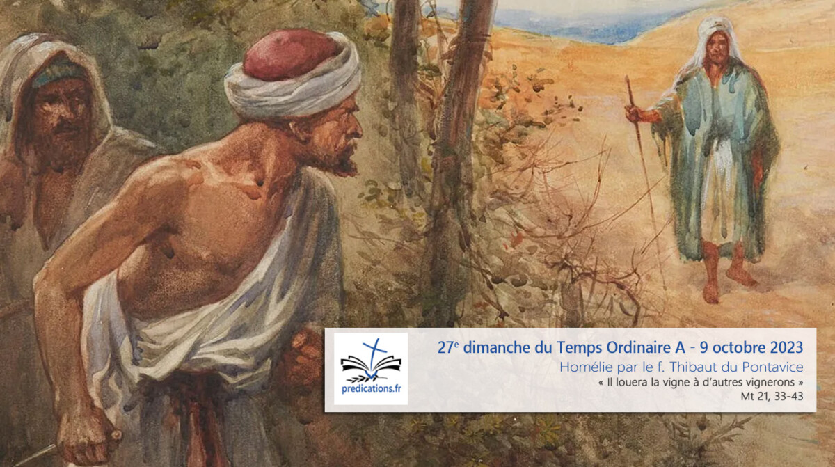 Homélie du 27e dimanche du Temps Ordinaire A : Les Vignerons homicides ...